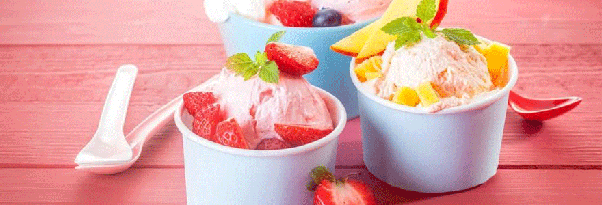 Pots à glace, comment choisir le bon modèle